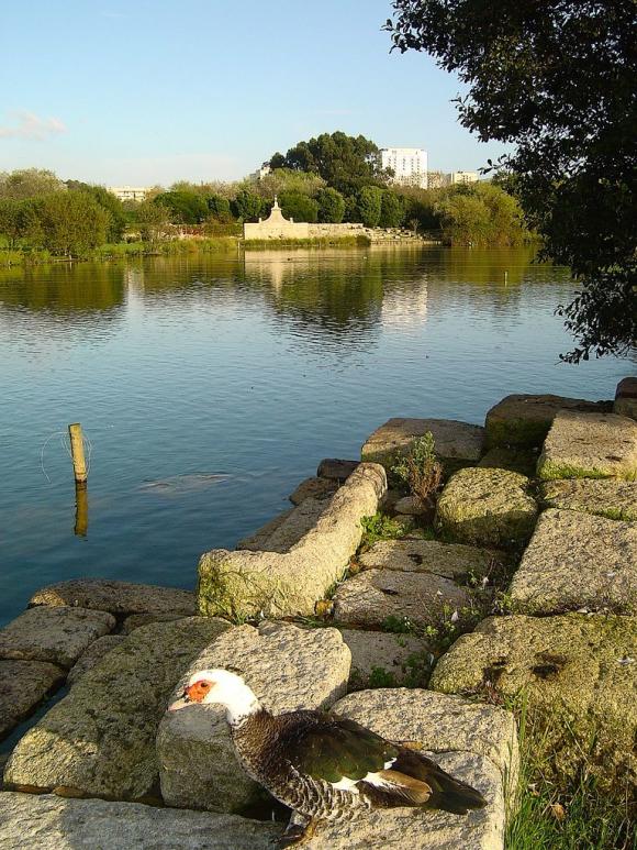 Parque da Cidade - Porto