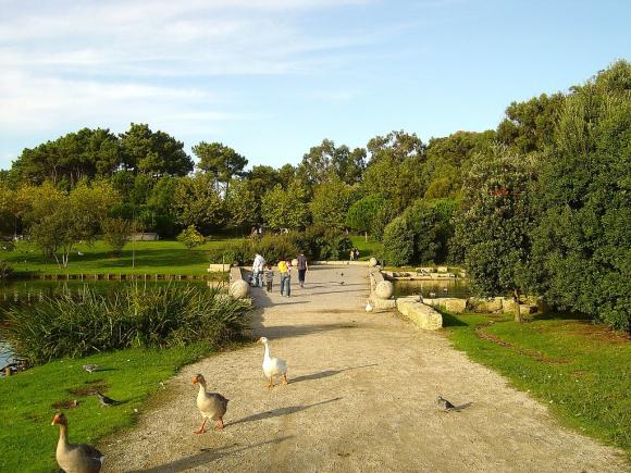 Parque da Cidade - Porto