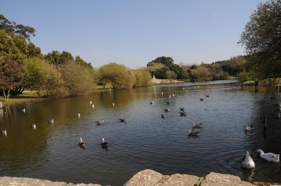 Parque da Cidade - Porto